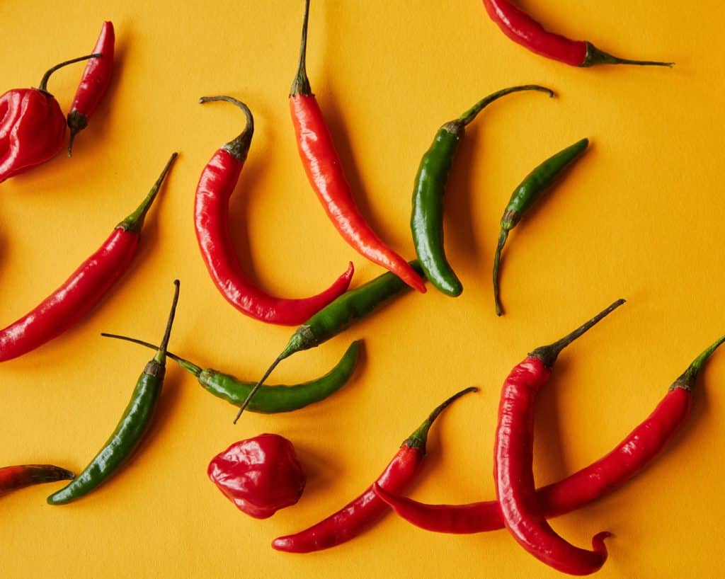 Piment Jalapeño : Tout savoir sur ce piment du Mexique