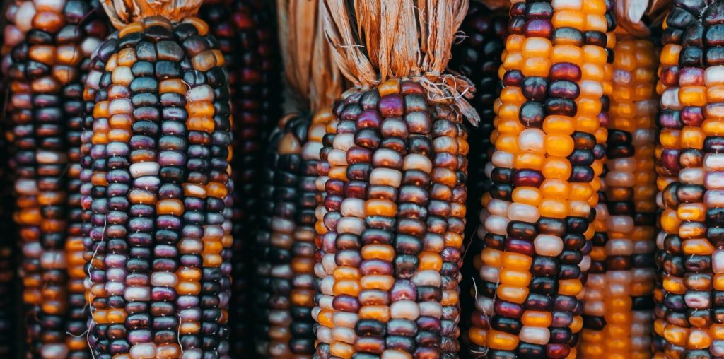 Cuisine mexicaine, Plats du Mexique - Recettes de Tacos, Enchiladas...